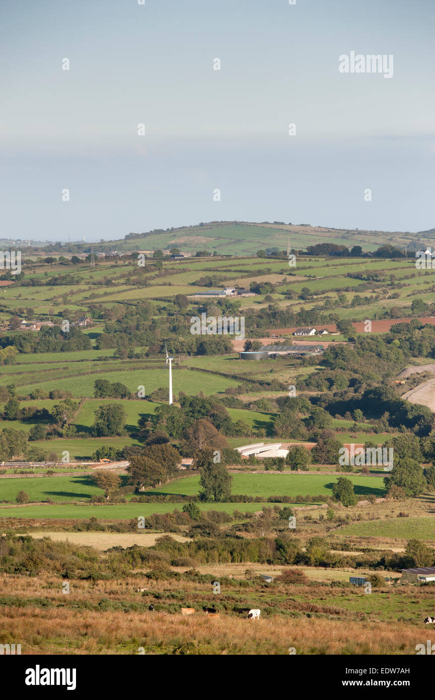 Irish countryside trees hi-res stock photography and images - Alamy