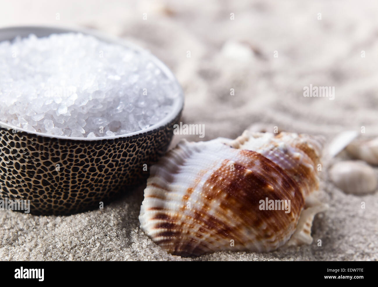 Sea salt and shells on sea sand Stock Photo - Alamy