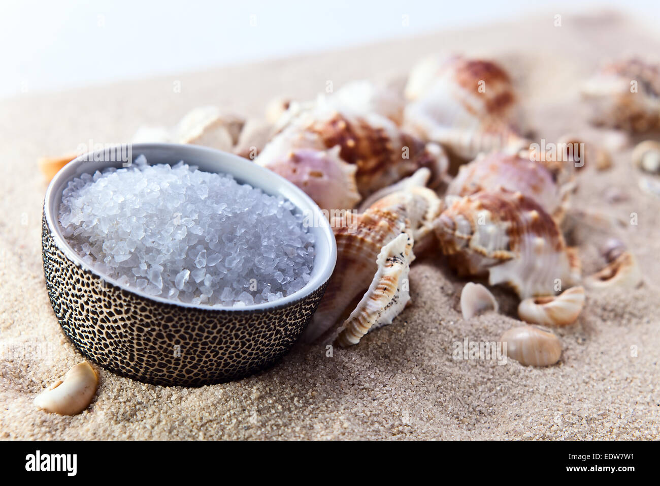 Sea salt and shells on sea sand Stock Photo - Alamy