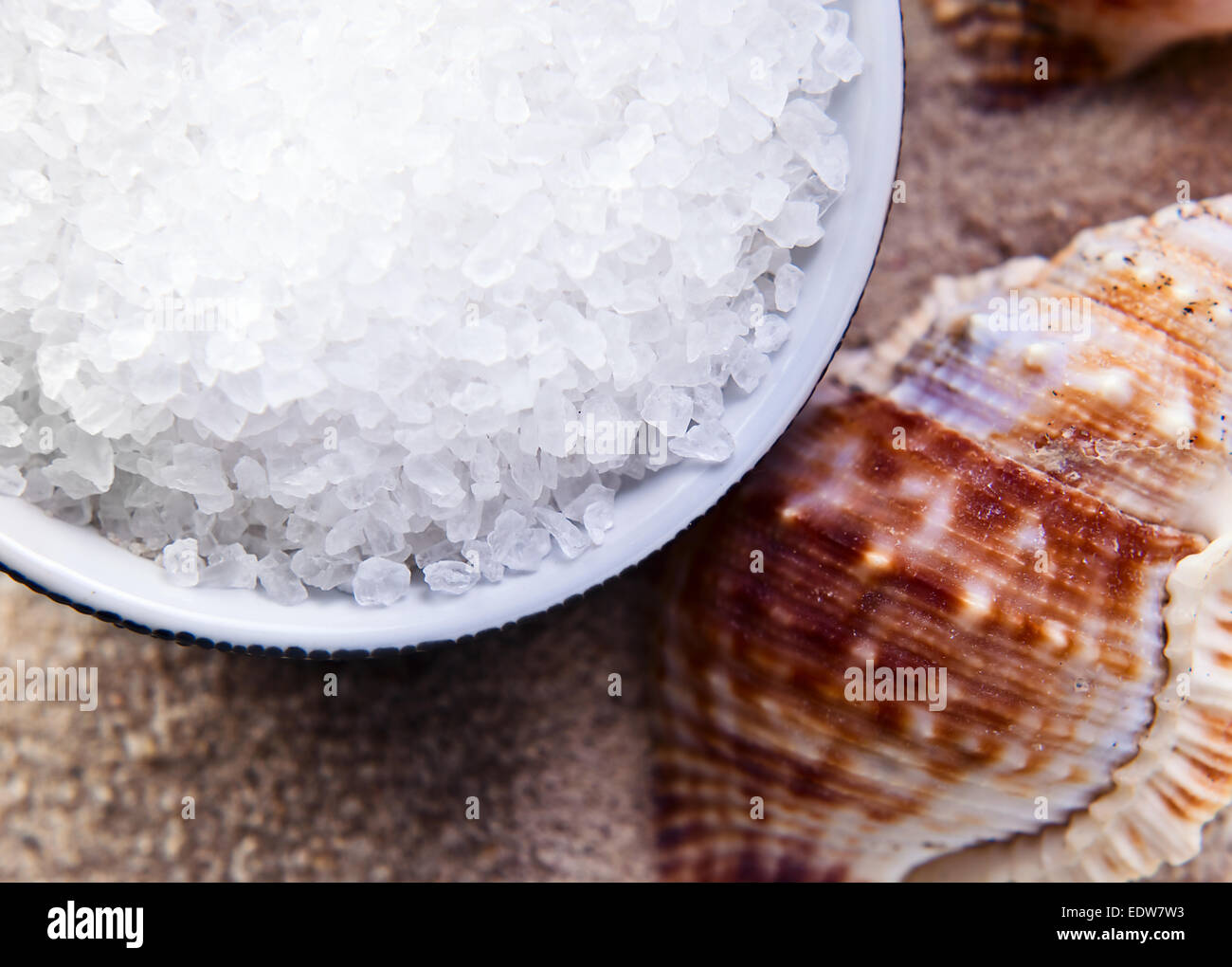 Sea salt and shell, mackro shot , focus on center Stock Photo - Alamy
