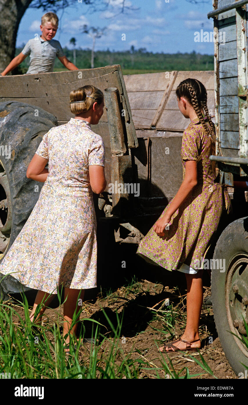 Mennonites from Spanish Lookout settlement working on farmland, Belize ...