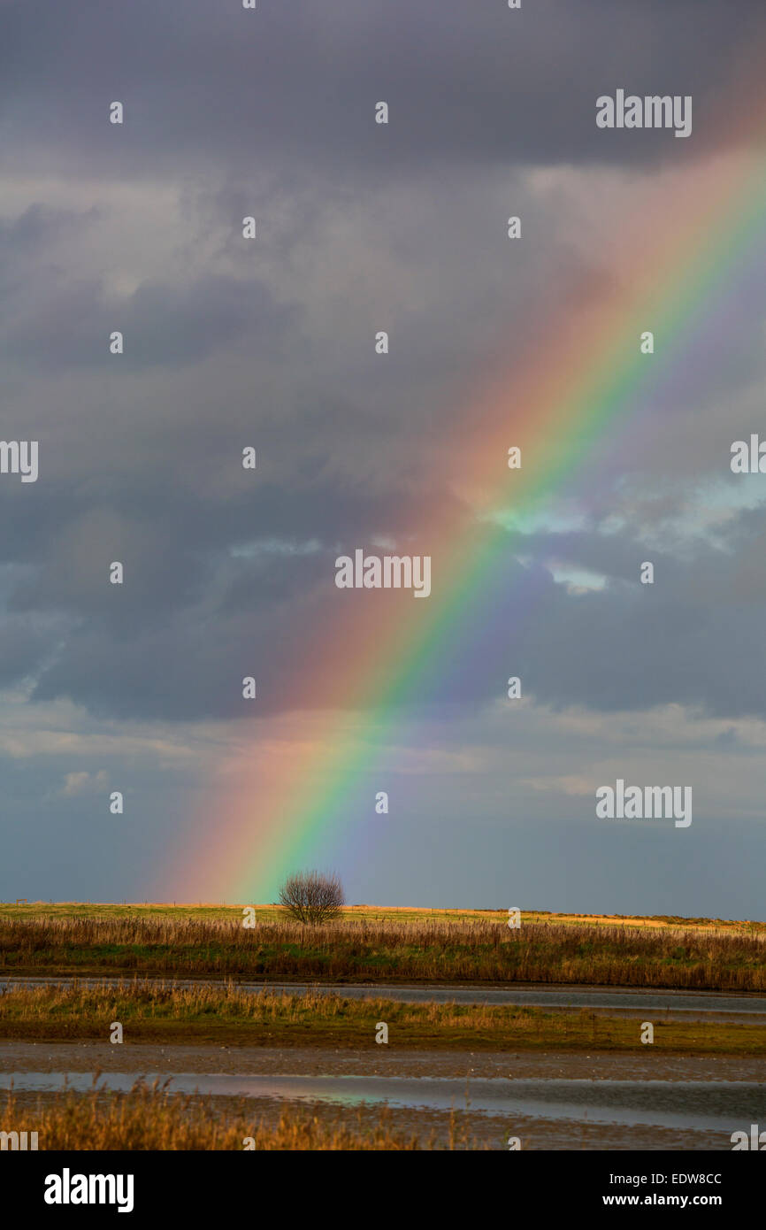 Cley marsh nature reserve hi-res stock photography and images - Alamy