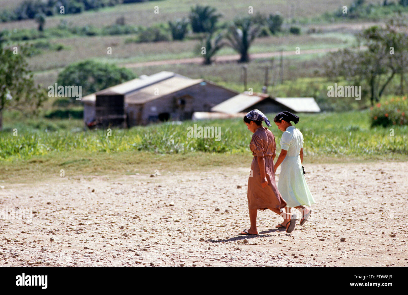 Mennonite women hi-res stock photography and images - Alamy