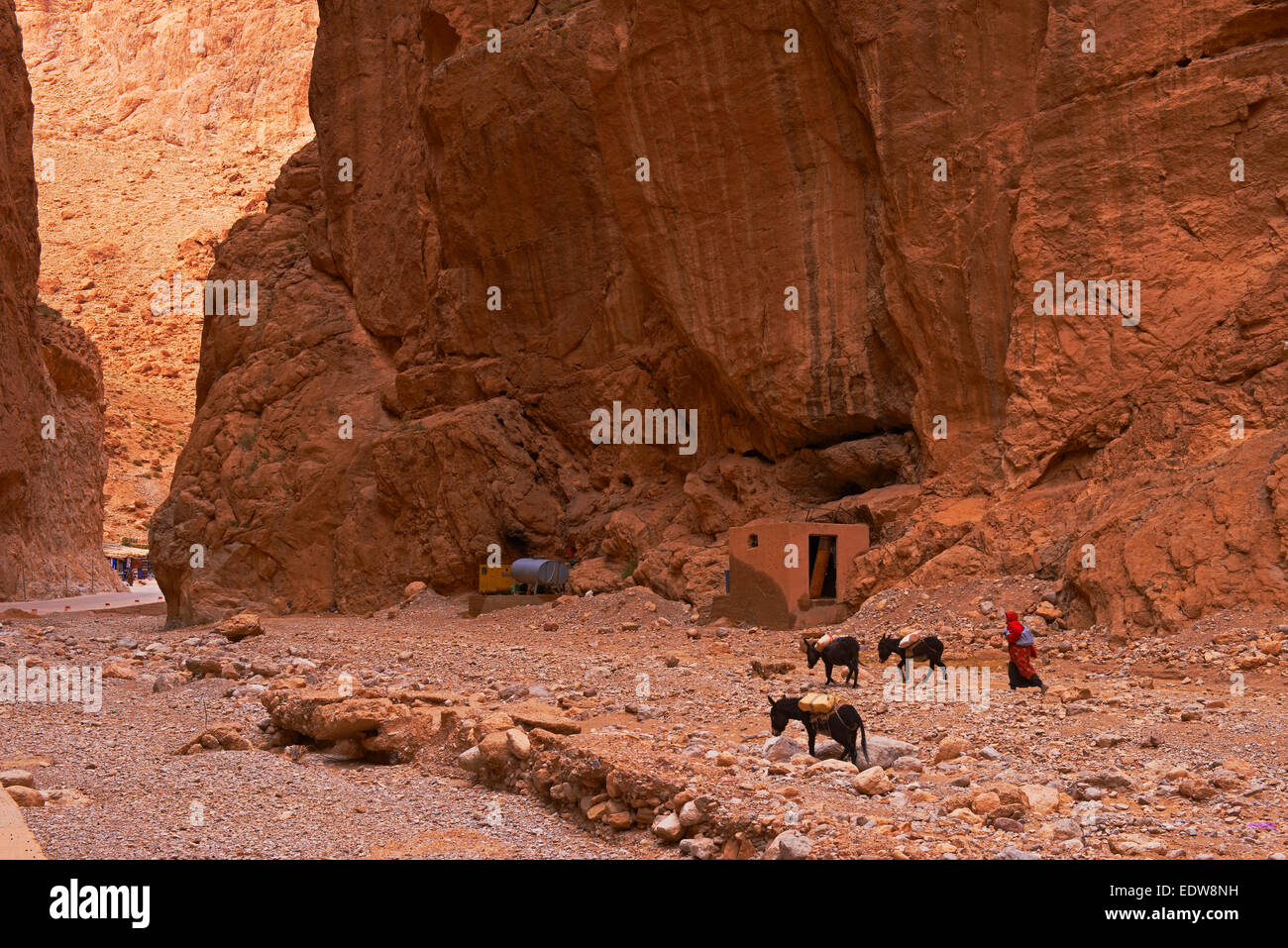Todra Gorges, Todra valley, High Atlas Mountains, Morocco, North Africa ...