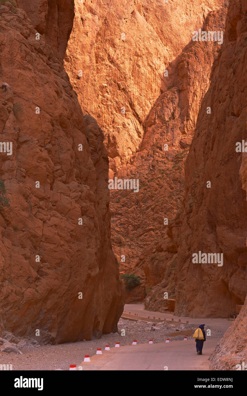 Todra Gorges, Todra valley, High Atlas Mountains, Morocco, North Africa ...