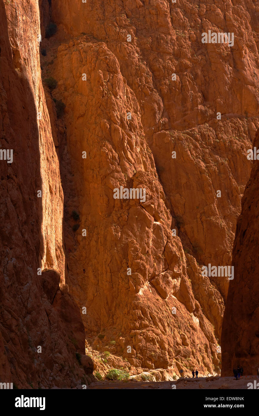Todra Gorges, Todra valley, High Atlas Mountains, Morocco, North Africa ...