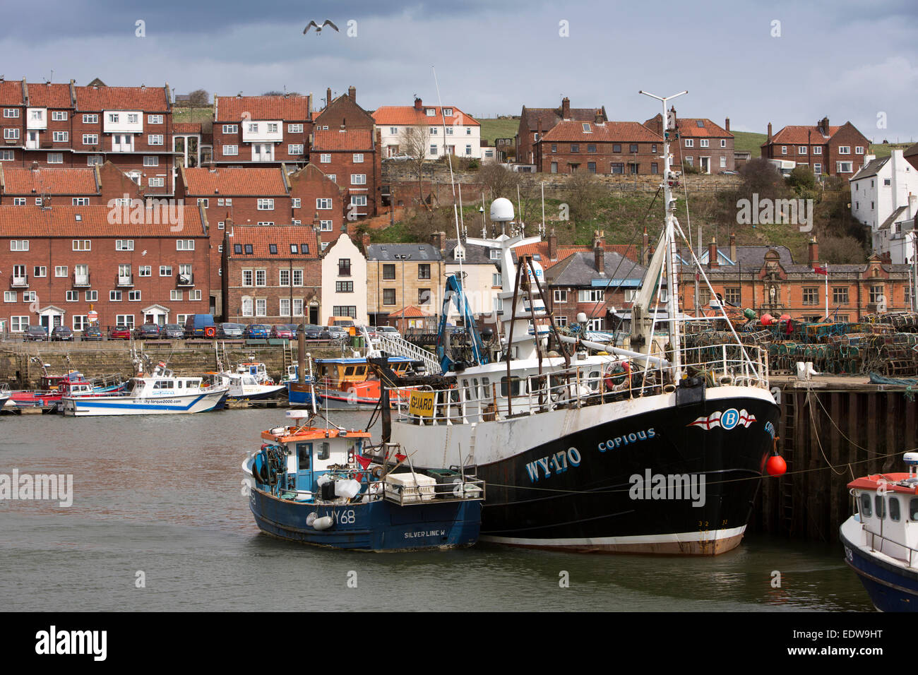 UK, England, Yorkshire, Whitby, New Quay, fishing boat Copious at ...