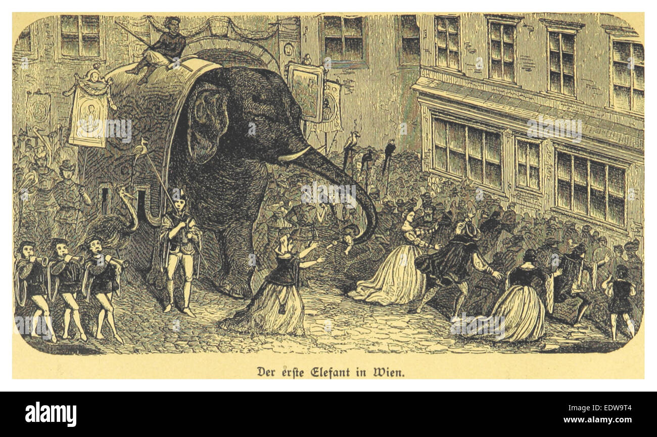 This 1888 illustration by Bermann depicts the first elephant in Vienna ...