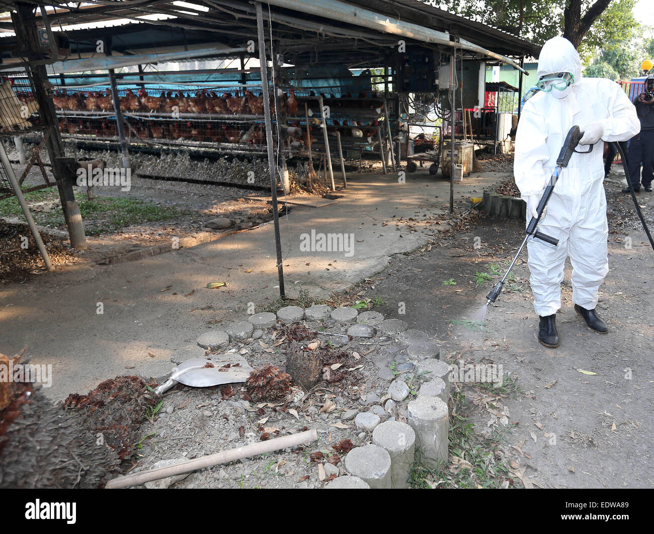 Disinfect farm hi-res stock photography and images - Alamy