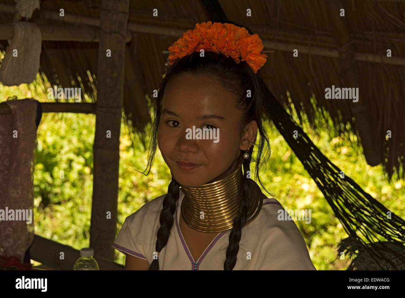 Long neck hill tribe woman near Chiang Rai in Northern Thailand Stock ...