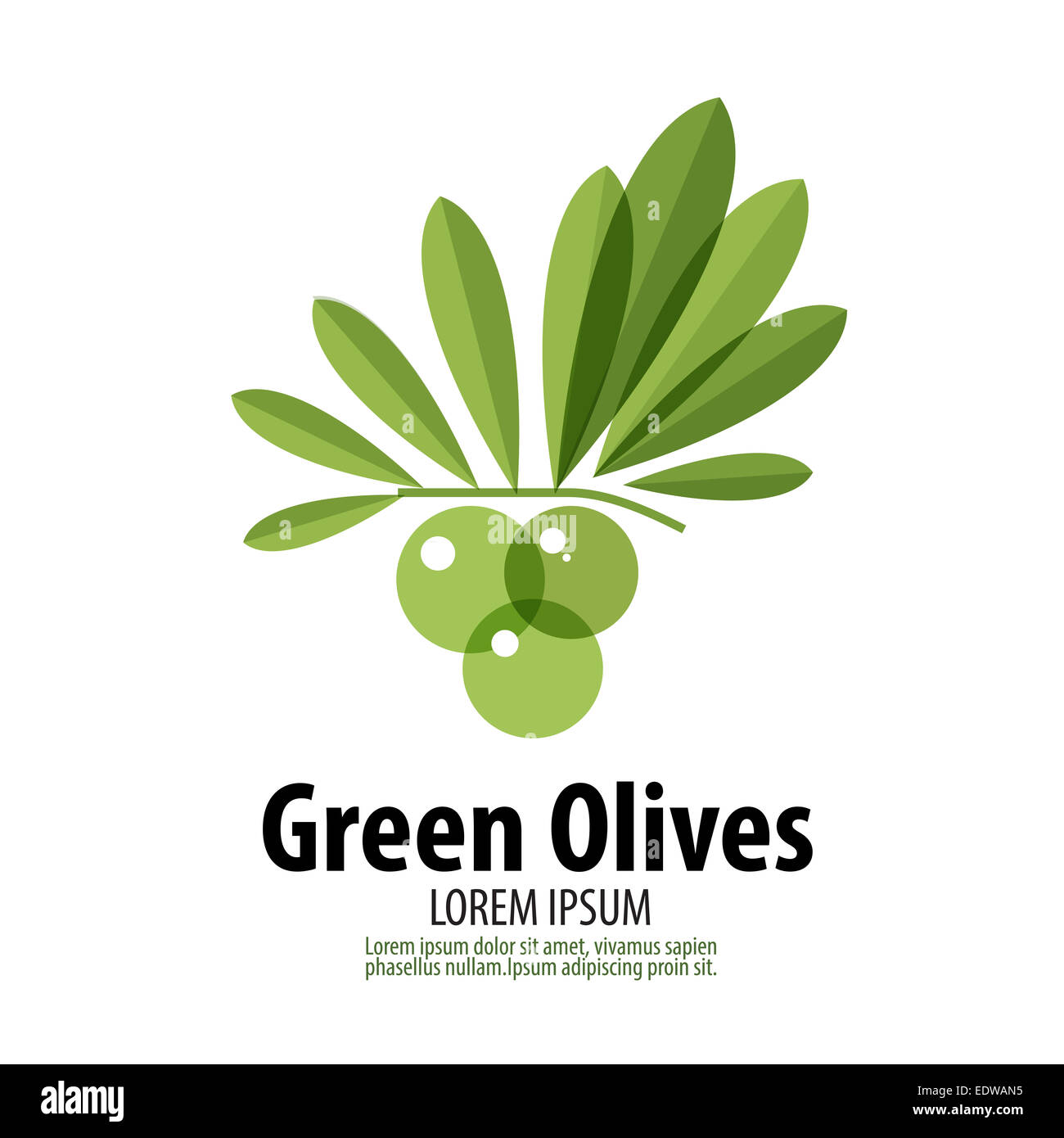 Olive Green Logo