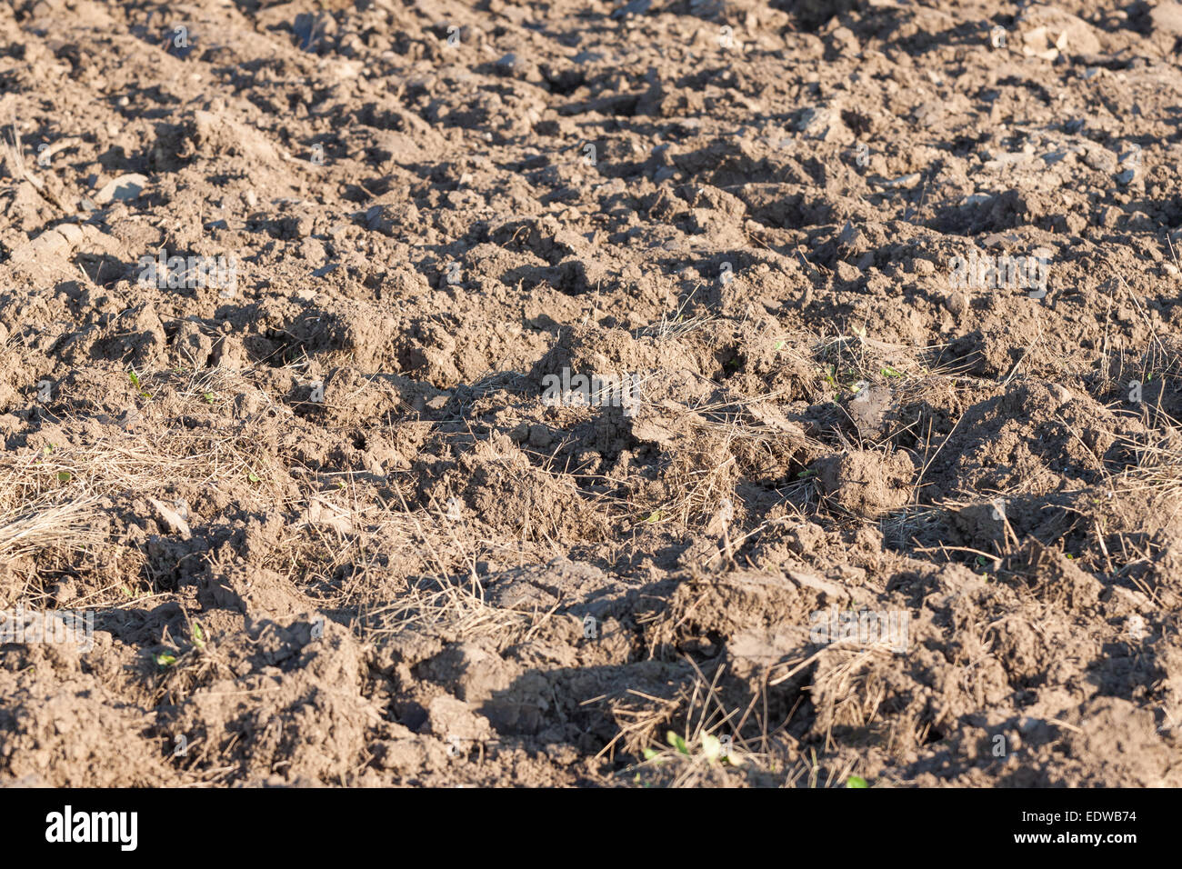 Row tilled crop hi-res stock photography and images - Alamy