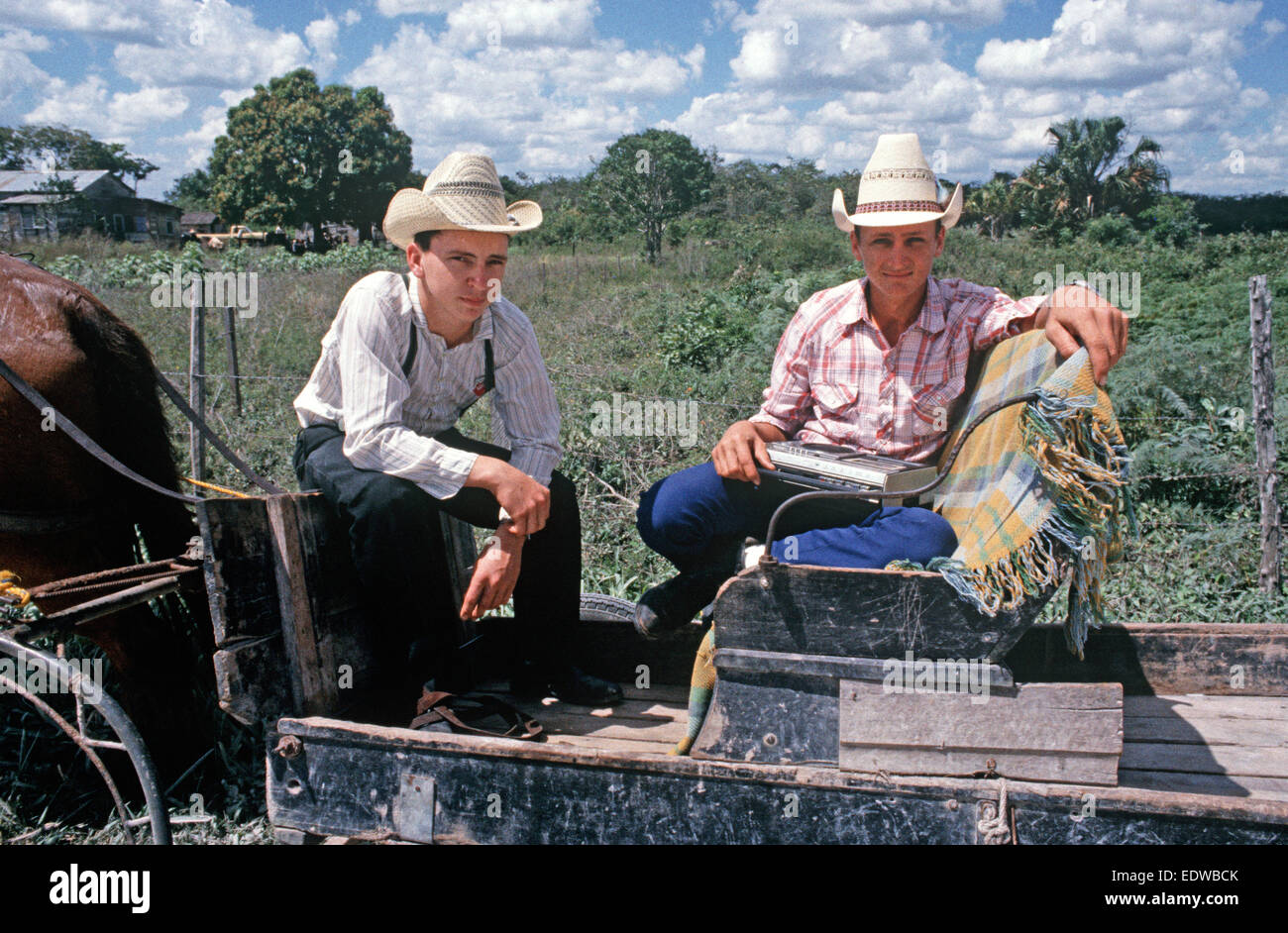 Young Mennonite men in horse and buggy from orthodox communities ...