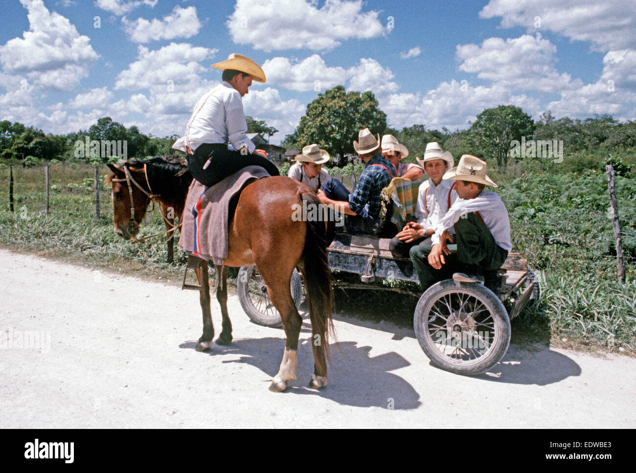 Mennonites in horse buggy from hi-res stock photography and images - Alamy