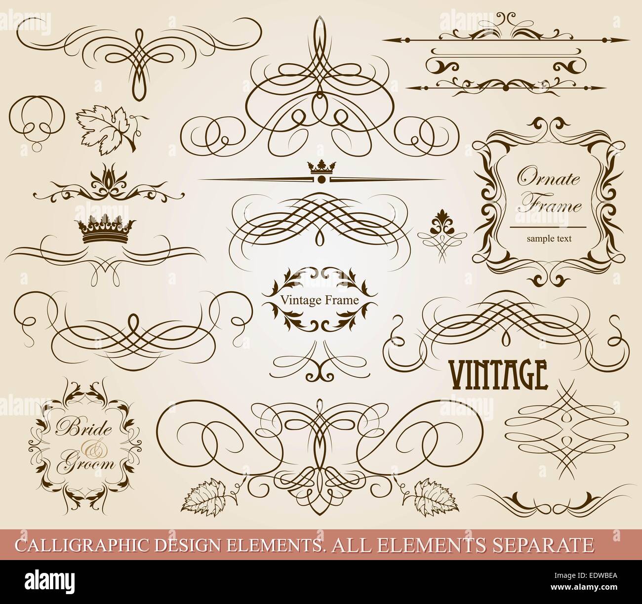 Calligraphic design elements Stock Photo - Alamy