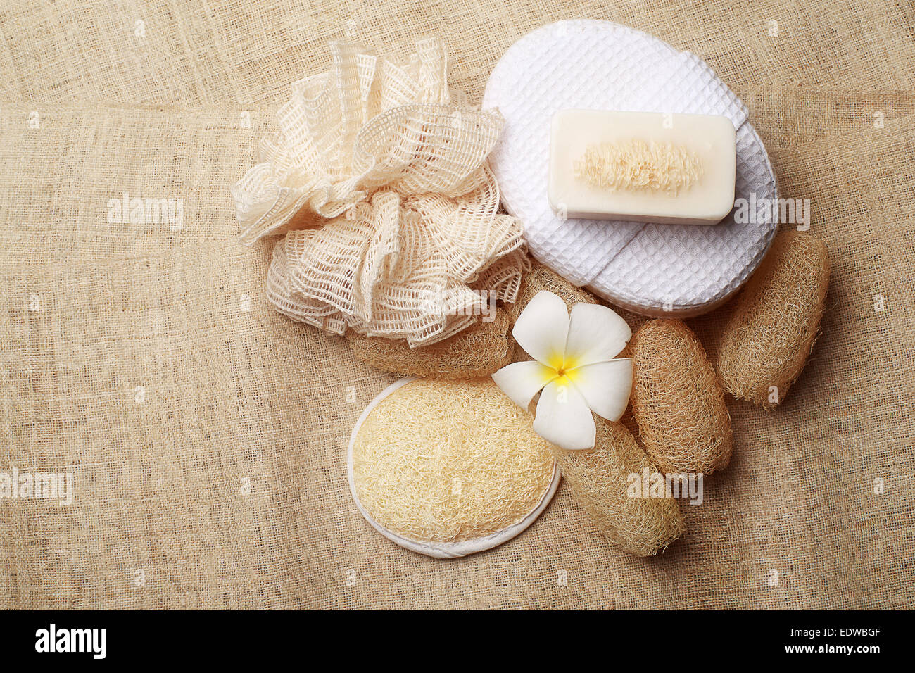 Scrub soap hi-res stock photography and images - Alamy