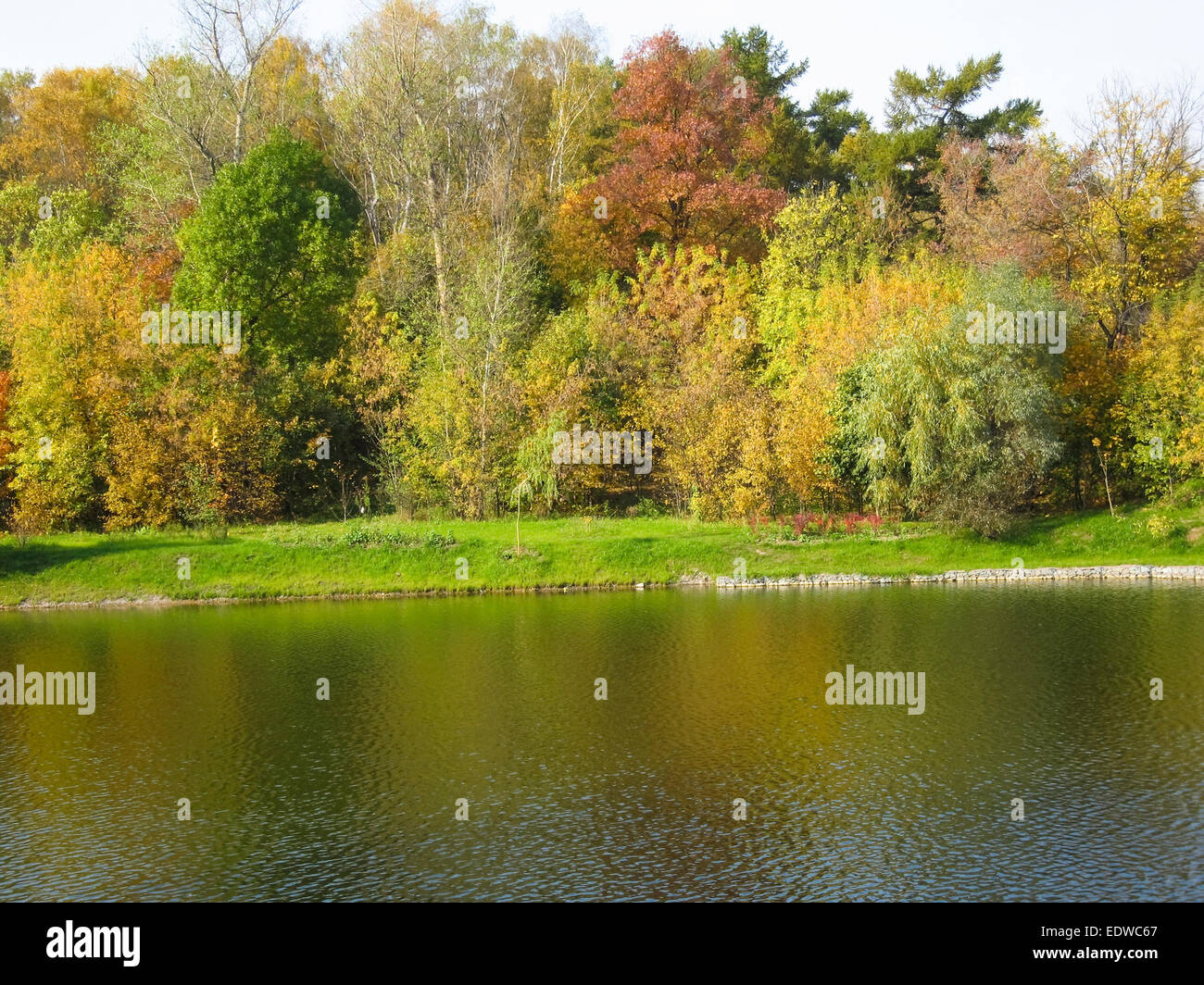 Autumn landscape - forest near lake, trees of different colours Stock ...