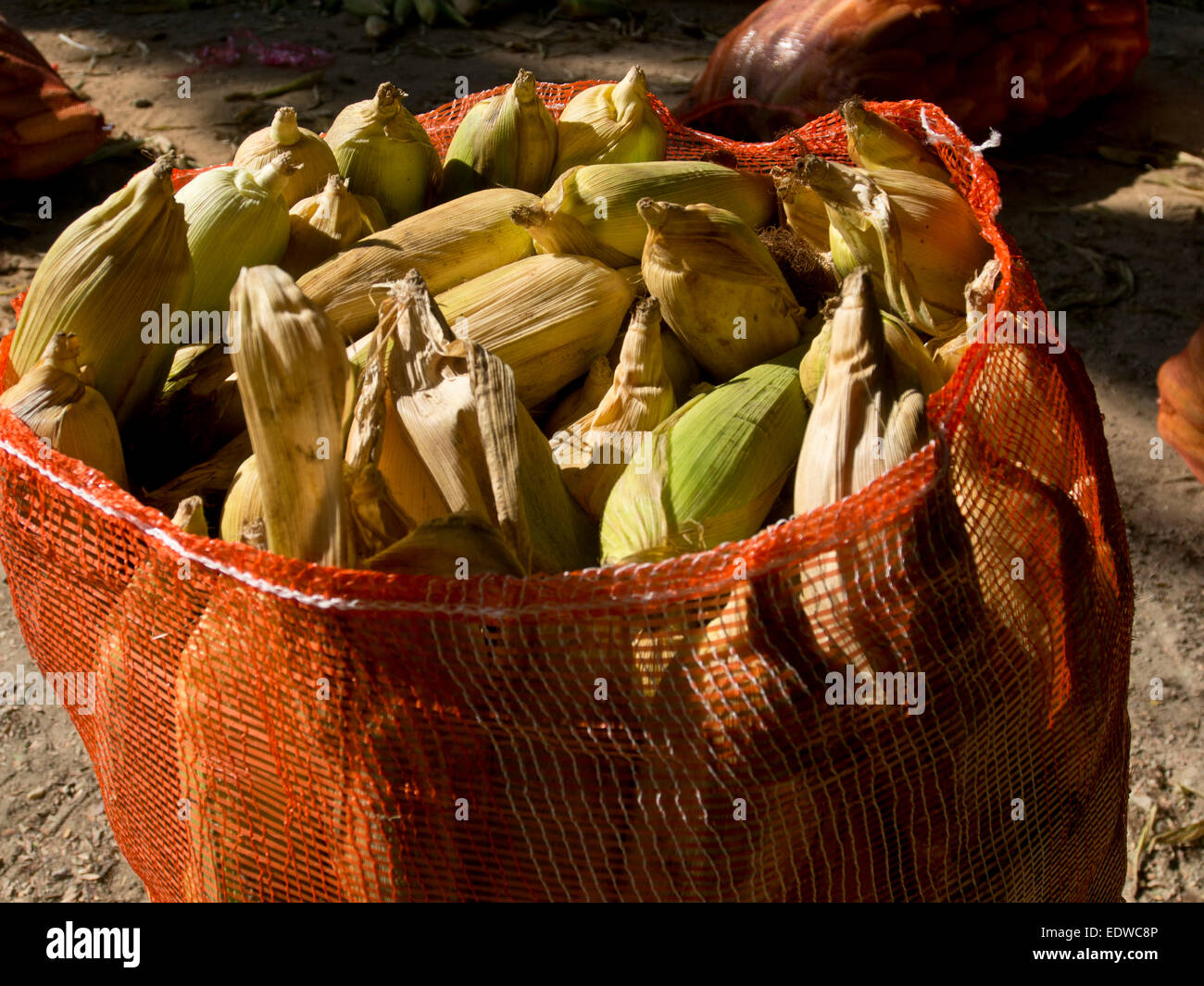 Sacks of corn hi-res stock photography and images - Alamy