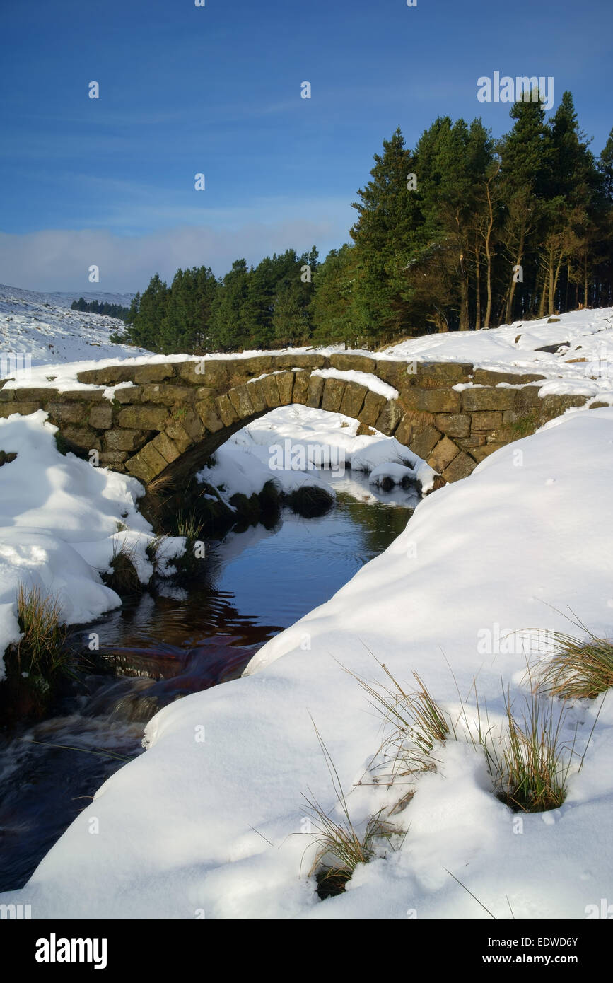 UK,South Yorkshire,Peak District,Upper Burbage Valley,Footbridge over ...
