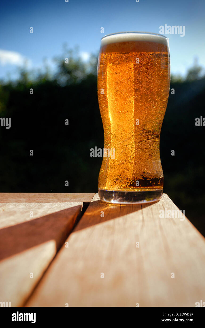 Refreshing lager hi-res stock photography and images - Alamy