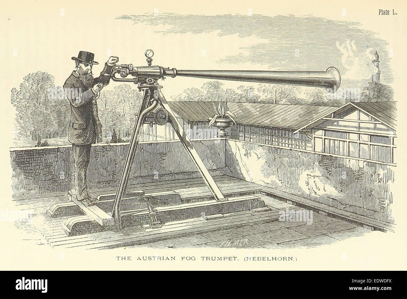 ELLIOT(1875) p367 - Plate L. Austrian fog-trumpet Stock Photo - Alamy