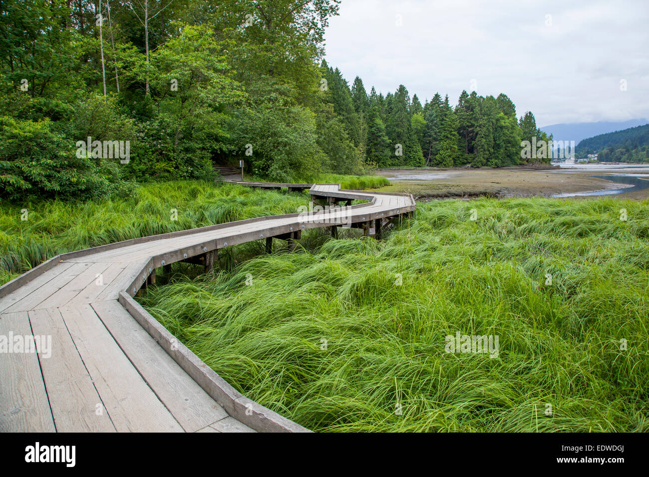 Winding boardwalk hi-res stock photography and images - Alamy