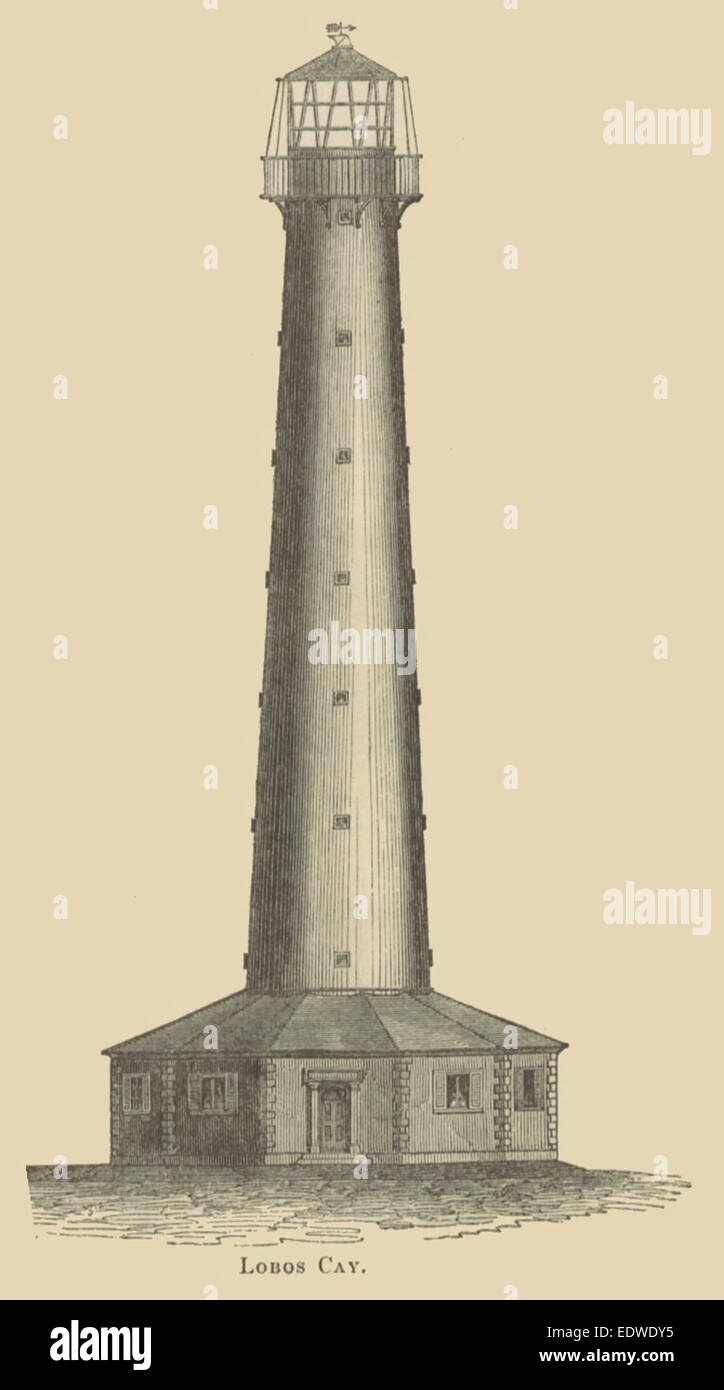 Cay lobos hi-res stock photography and images - Alamy