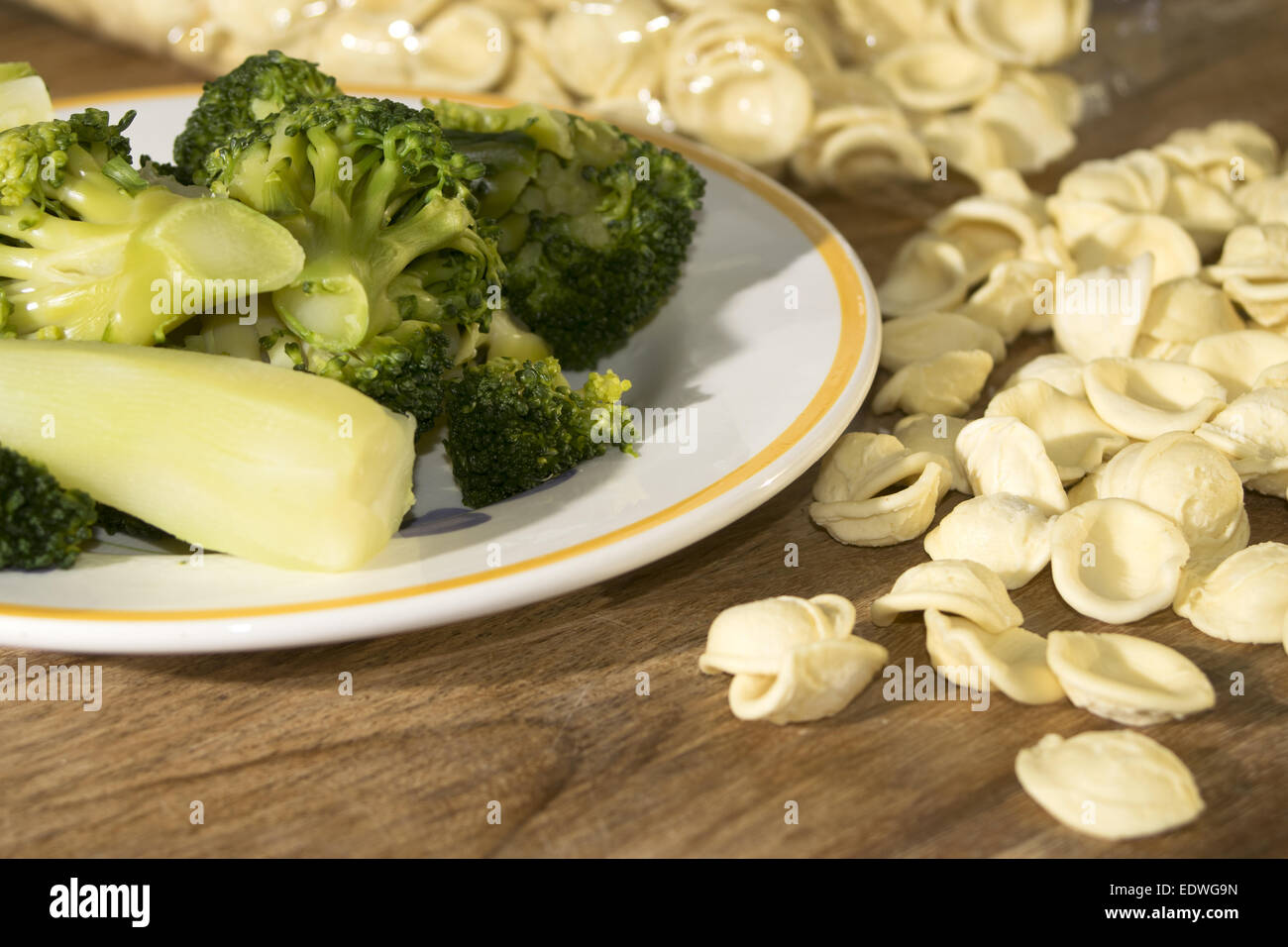 tasty Italian speciality: orecchiette typical pasta of the Apulia with ...