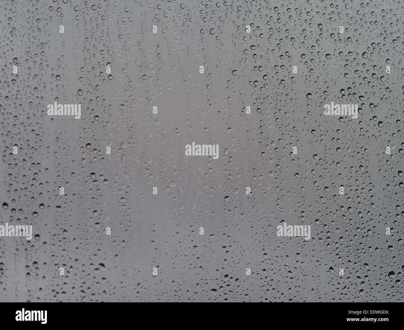 rain drops on window Stock Photo - Alamy