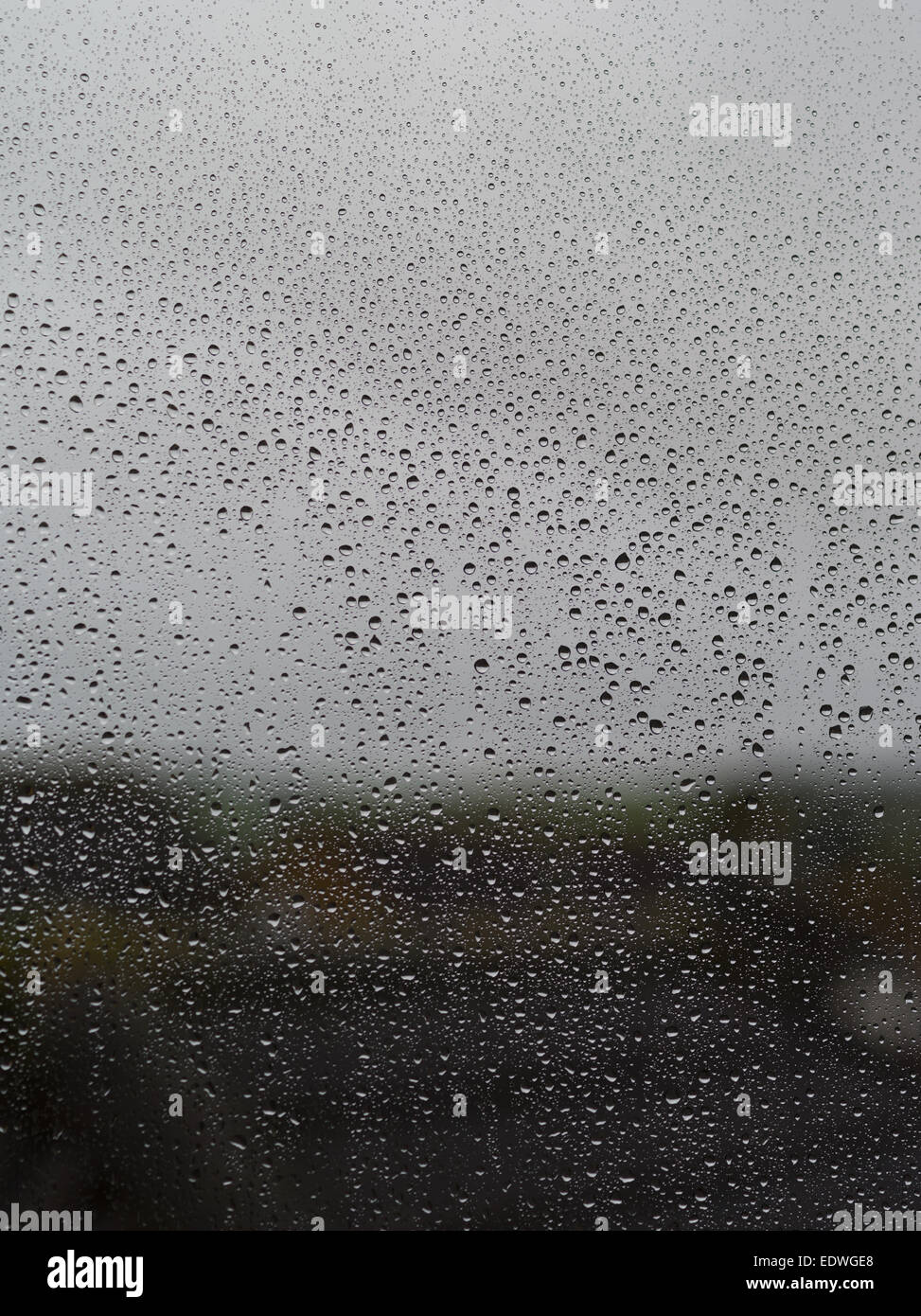 rain on window Stock Photo - Alamy
