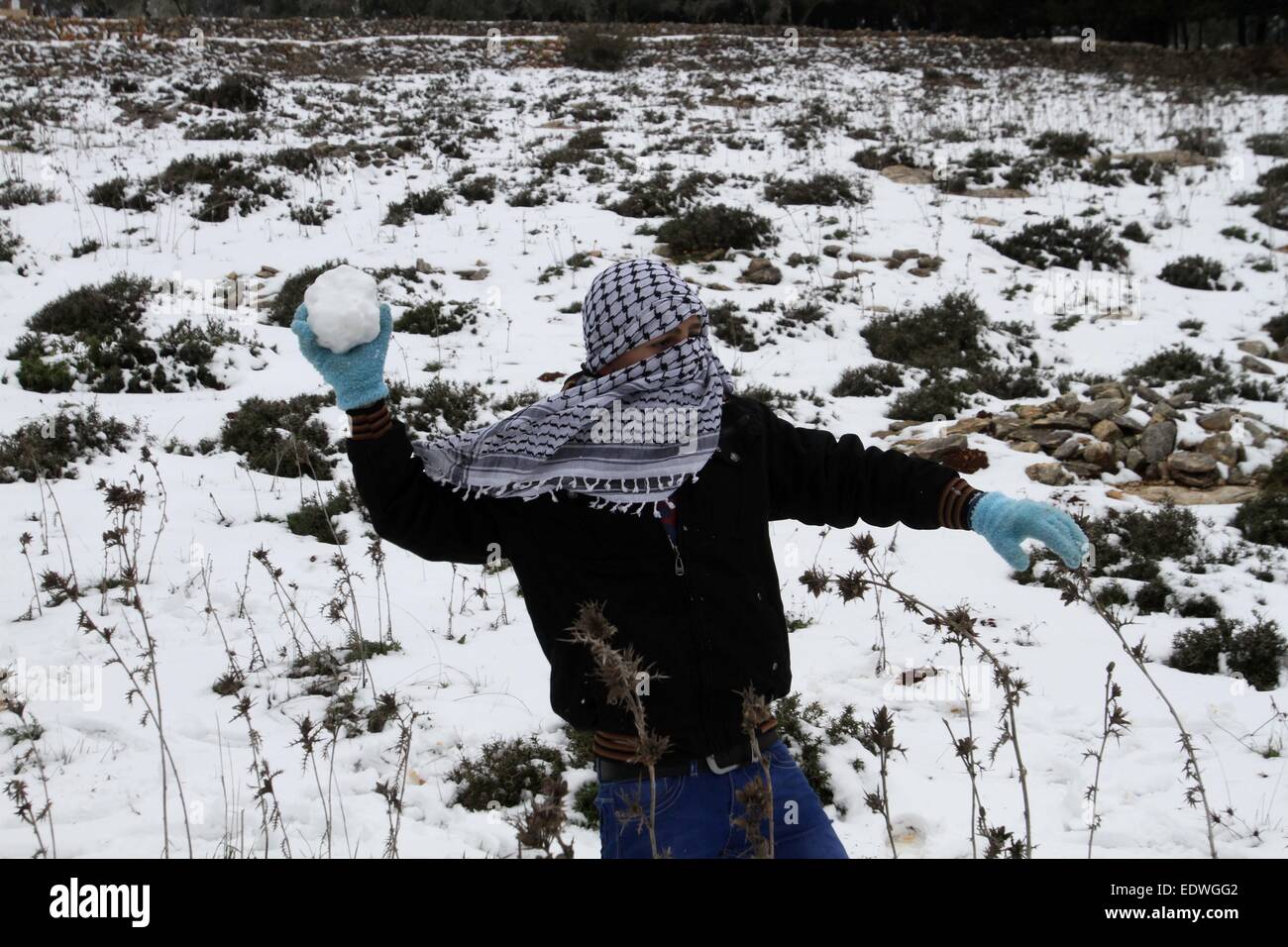 Nablus, West Bank, Palestinian Territory. 10th Jan, 2015. Palestinian ...