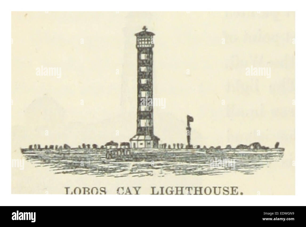 Cay lobos hi-res stock photography and images - Alamy