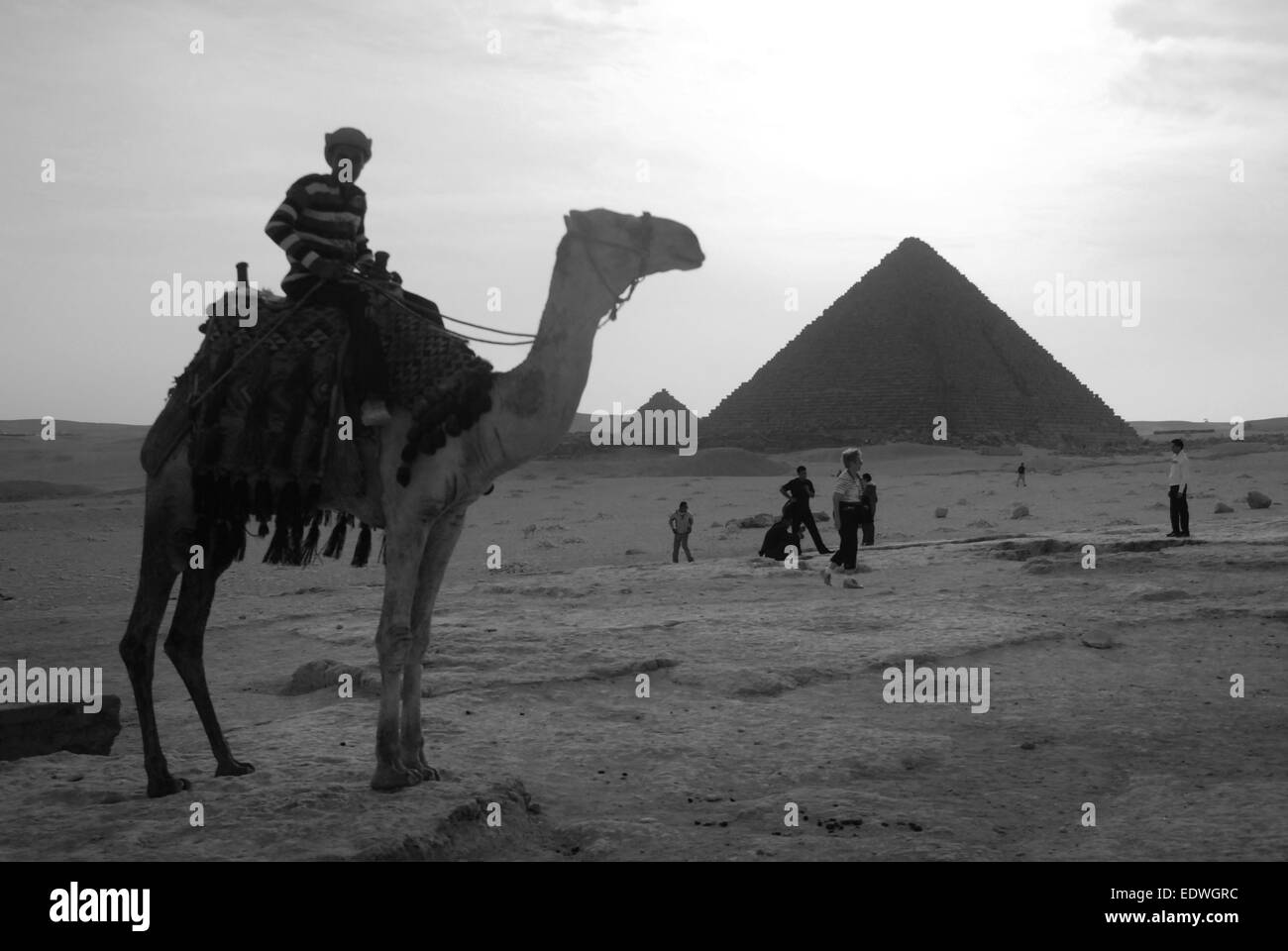 Egypt pyramids pyramid camel Black and White Stock Photos & Images - Alamy