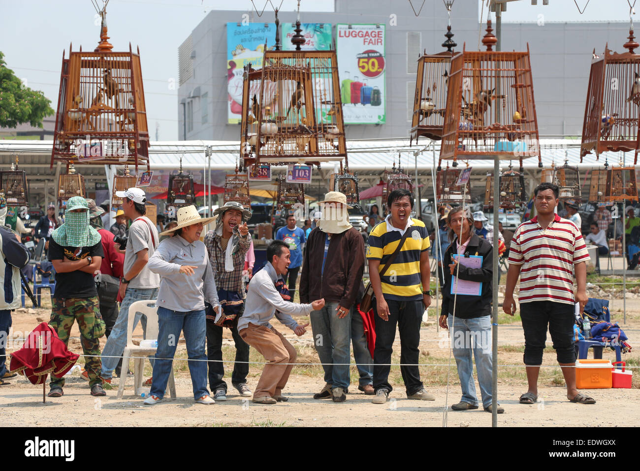 Animal crowd cheering hi-res stock photography and images - Alamy