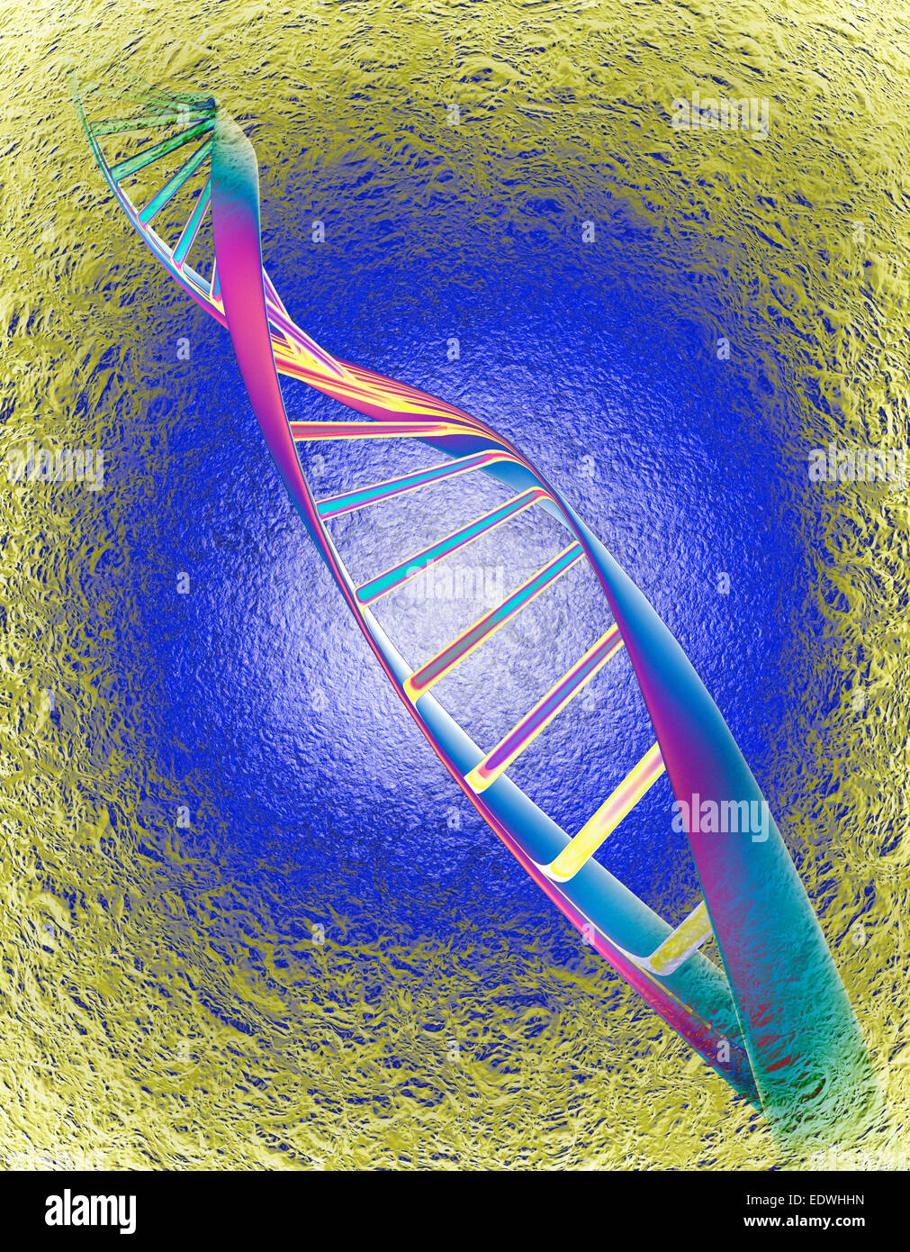 DNA stand illustration Stock Photo - Alamy