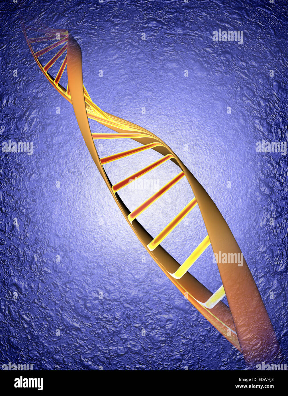 DNA stand illustration Stock Photo - Alamy