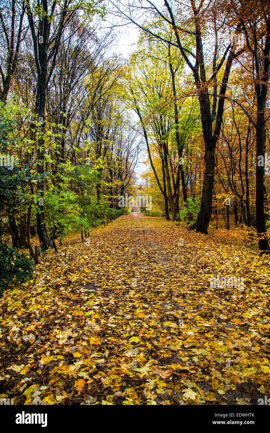Colored batter hi-res stock photography and images - Alamy