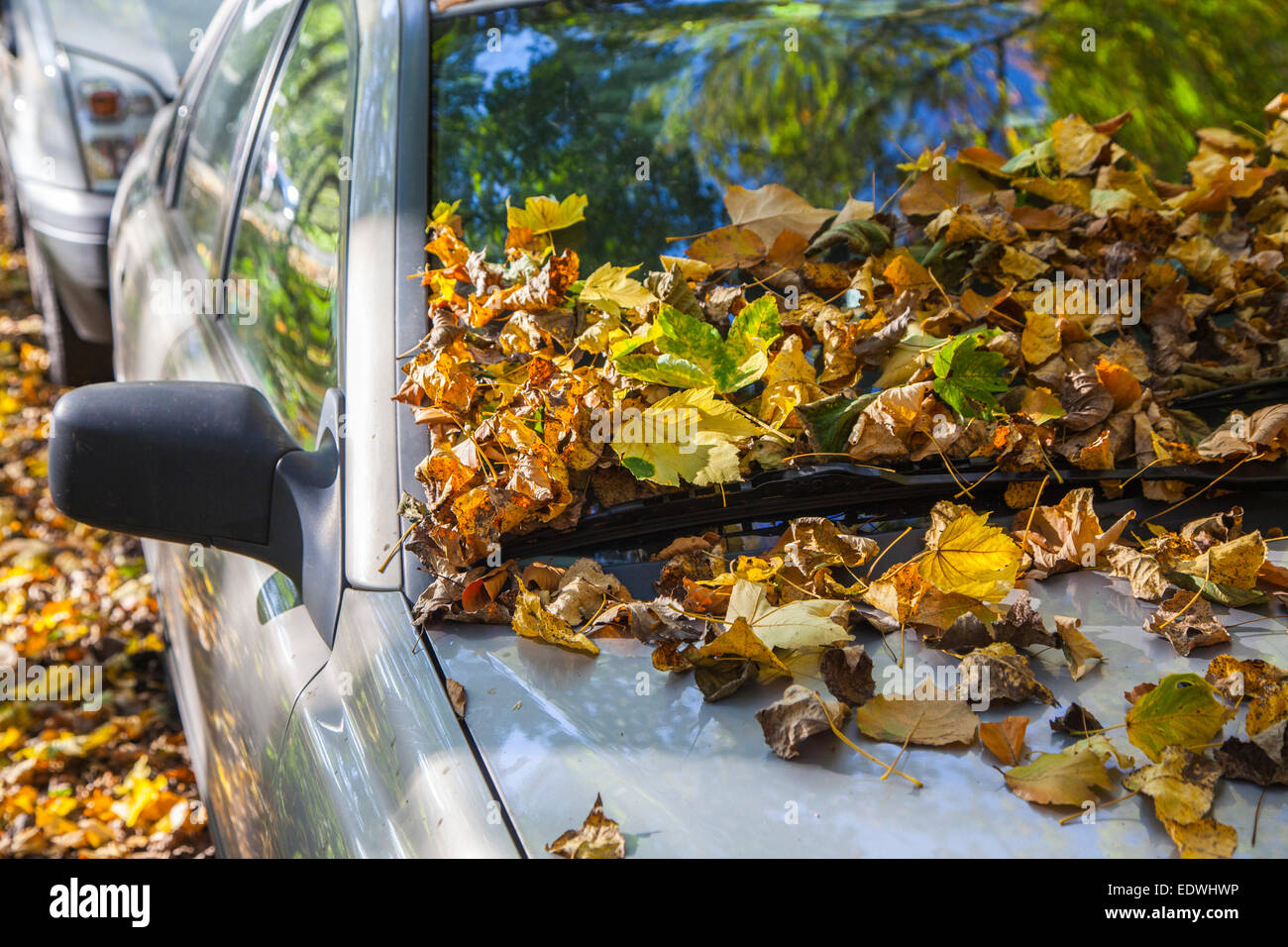 Car, covered with foliage, leaves, fall, autumn Stock Photo - Alamy