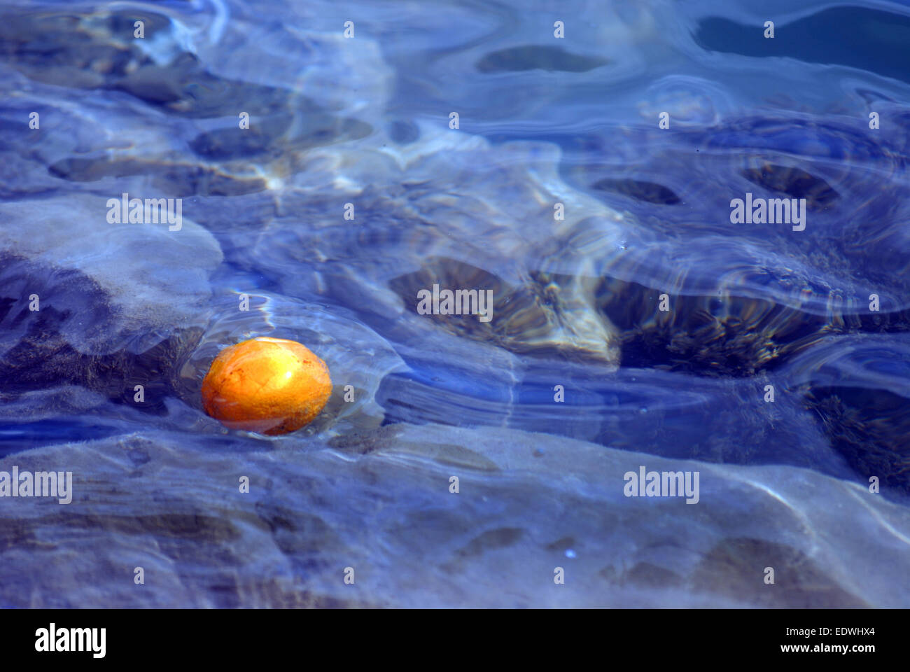 Orange floating in fast moving river / Orange in stream Stock Photo - Alamy