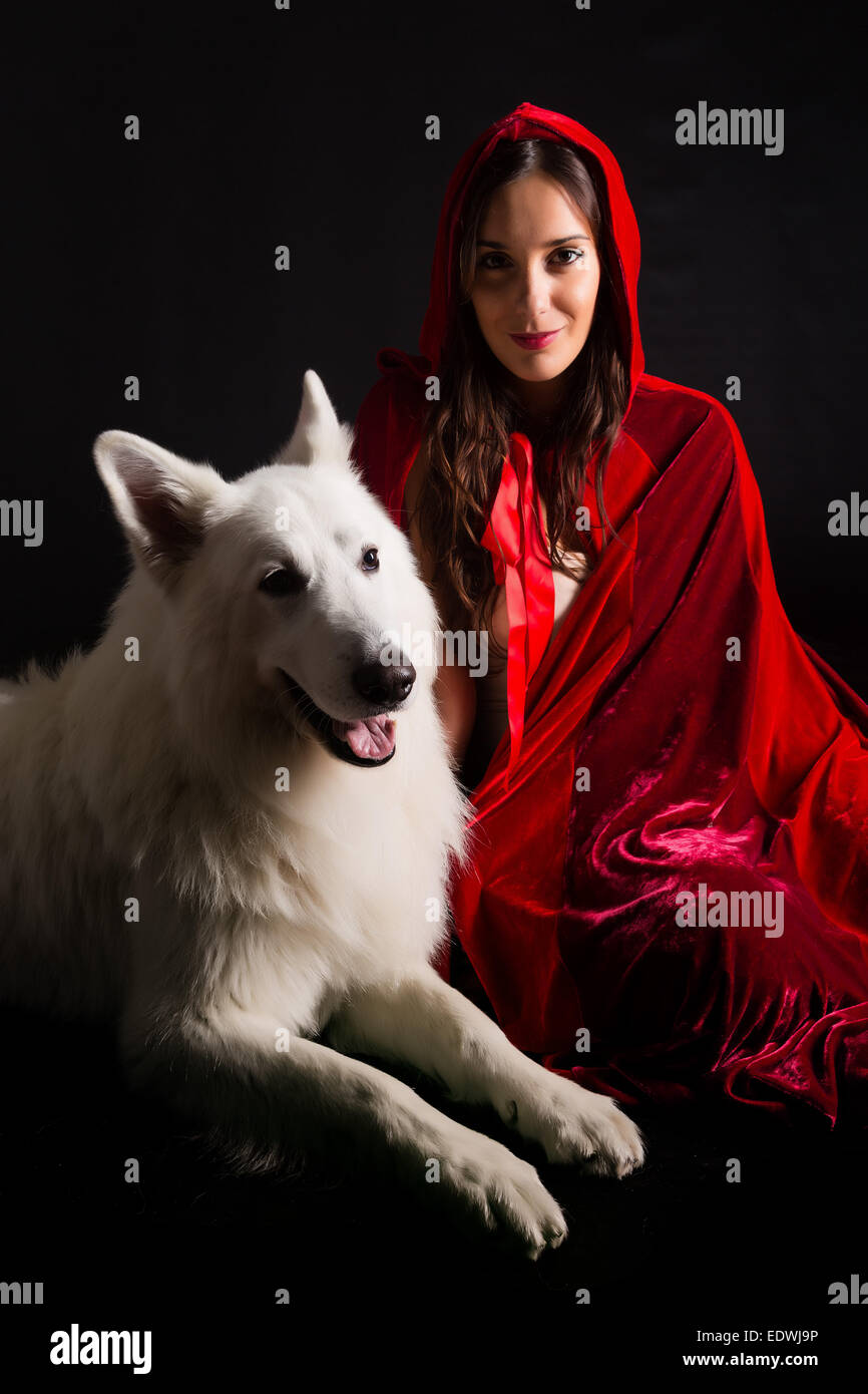 Labrador blanc hi-res stock photography and images - Alamy