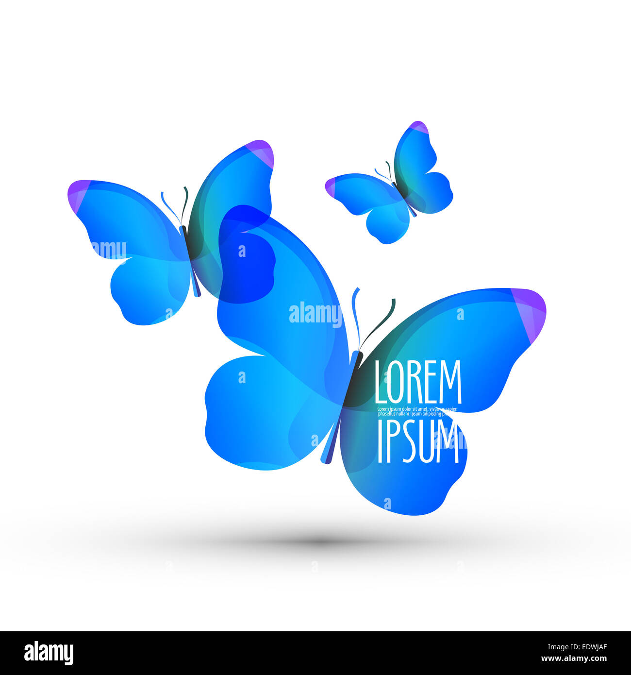 Insect logo hi-res stock photography and images - Alamy