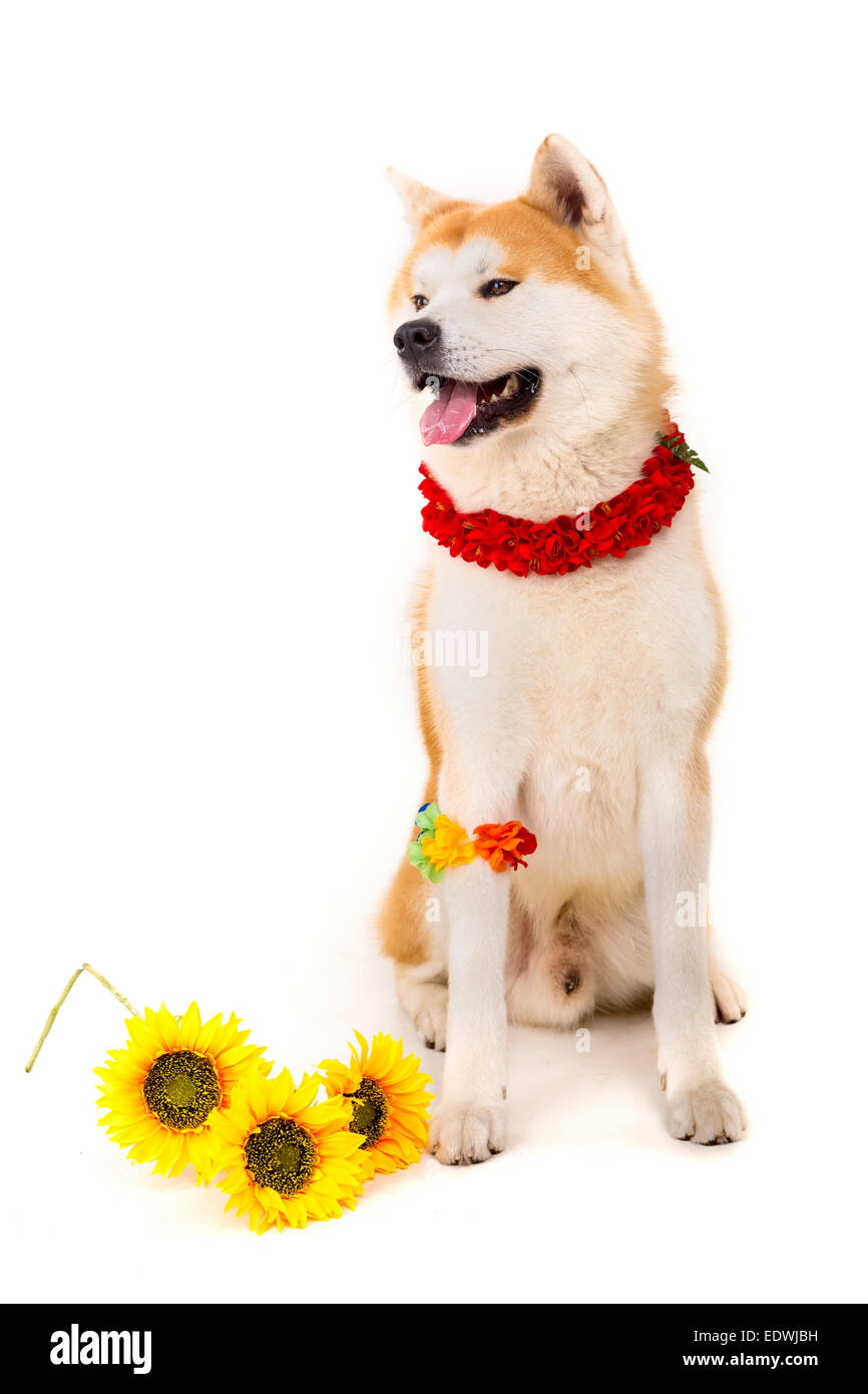 Summer holidays portrait young beautiful Cut Out Stock Images ...