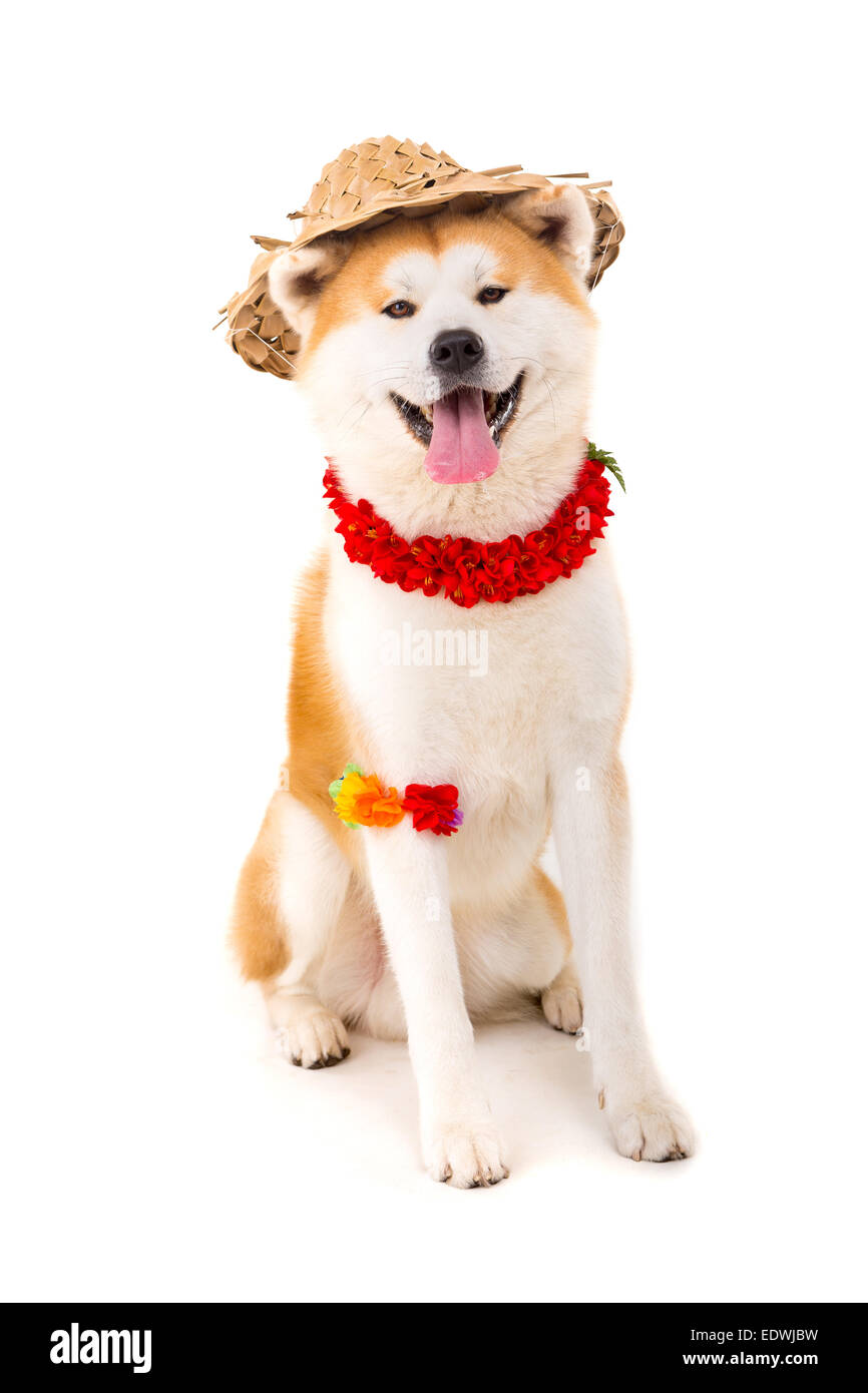 Summer holidays portrait young beautiful Cut Out Stock Images ...