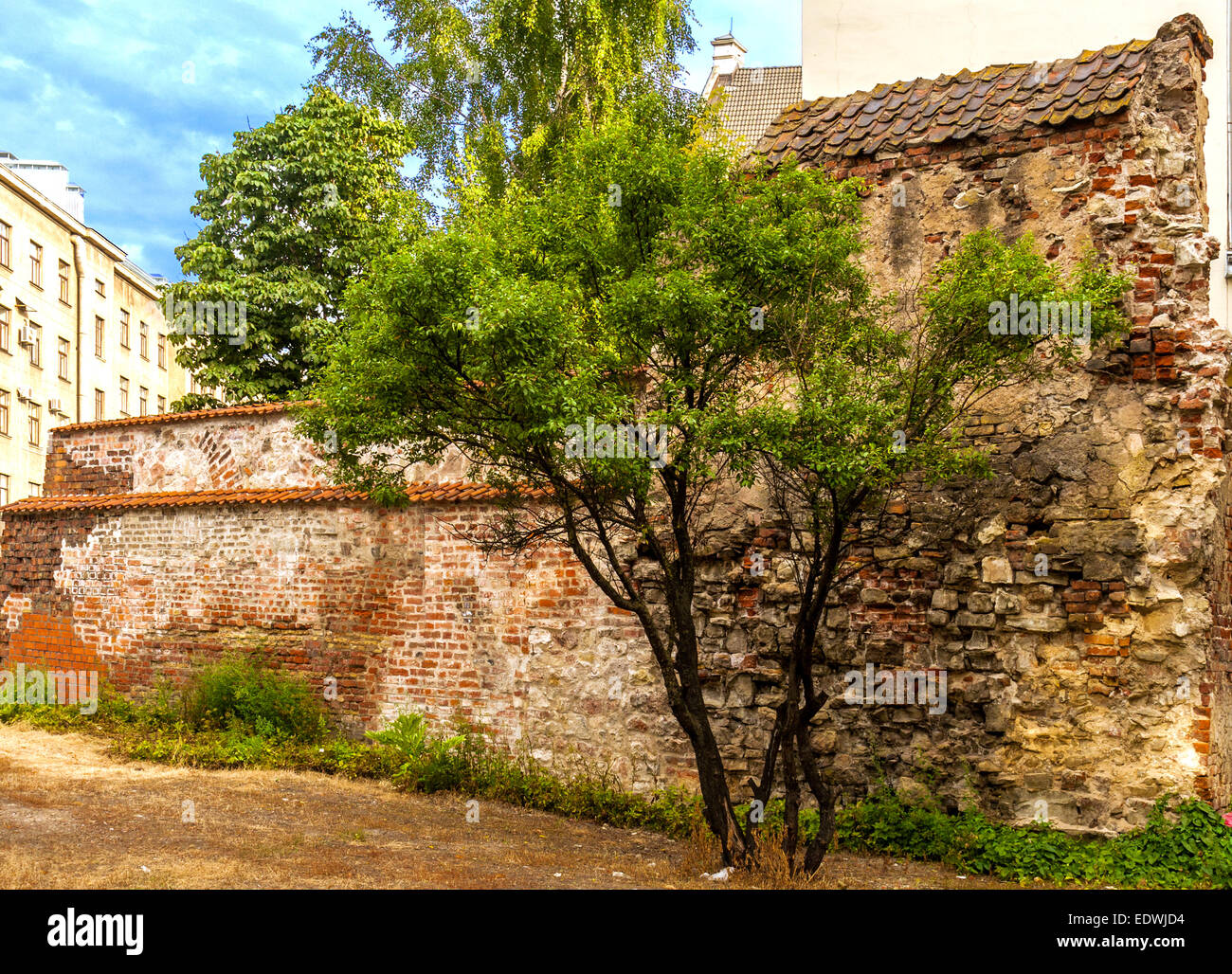 Stone Splinter High Resolution Stock Photography and Images - Alamy
