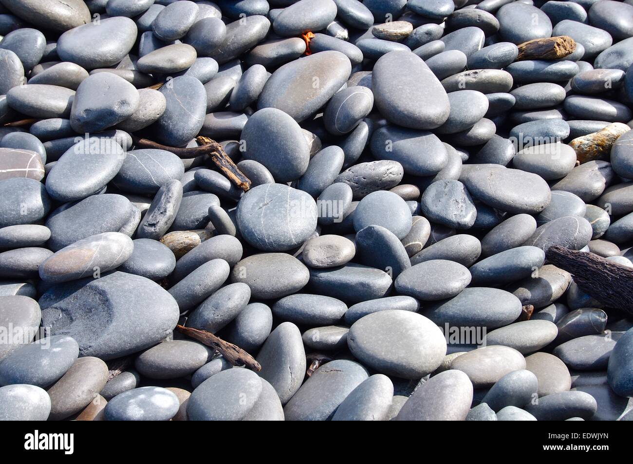 hard pebbles closeup on beach Stock Photo - Alamy
