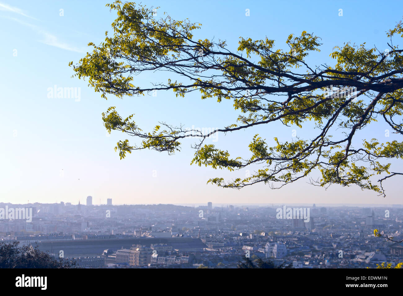 Panorama of Paris, view from Montmartre in morning Stock Photo - Alamy