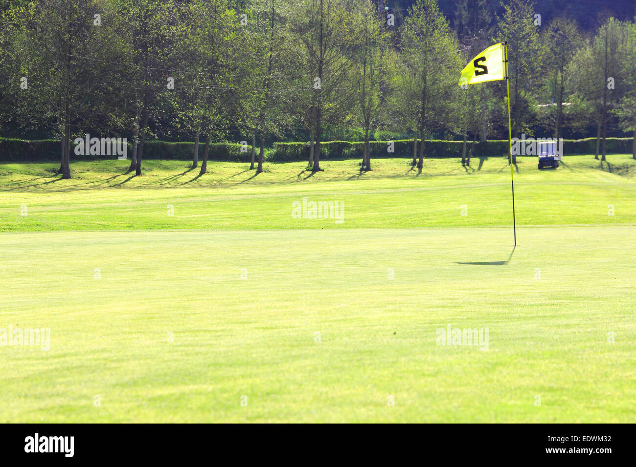Golf flag on course over beautiful forest background Stock Photo - Alamy
