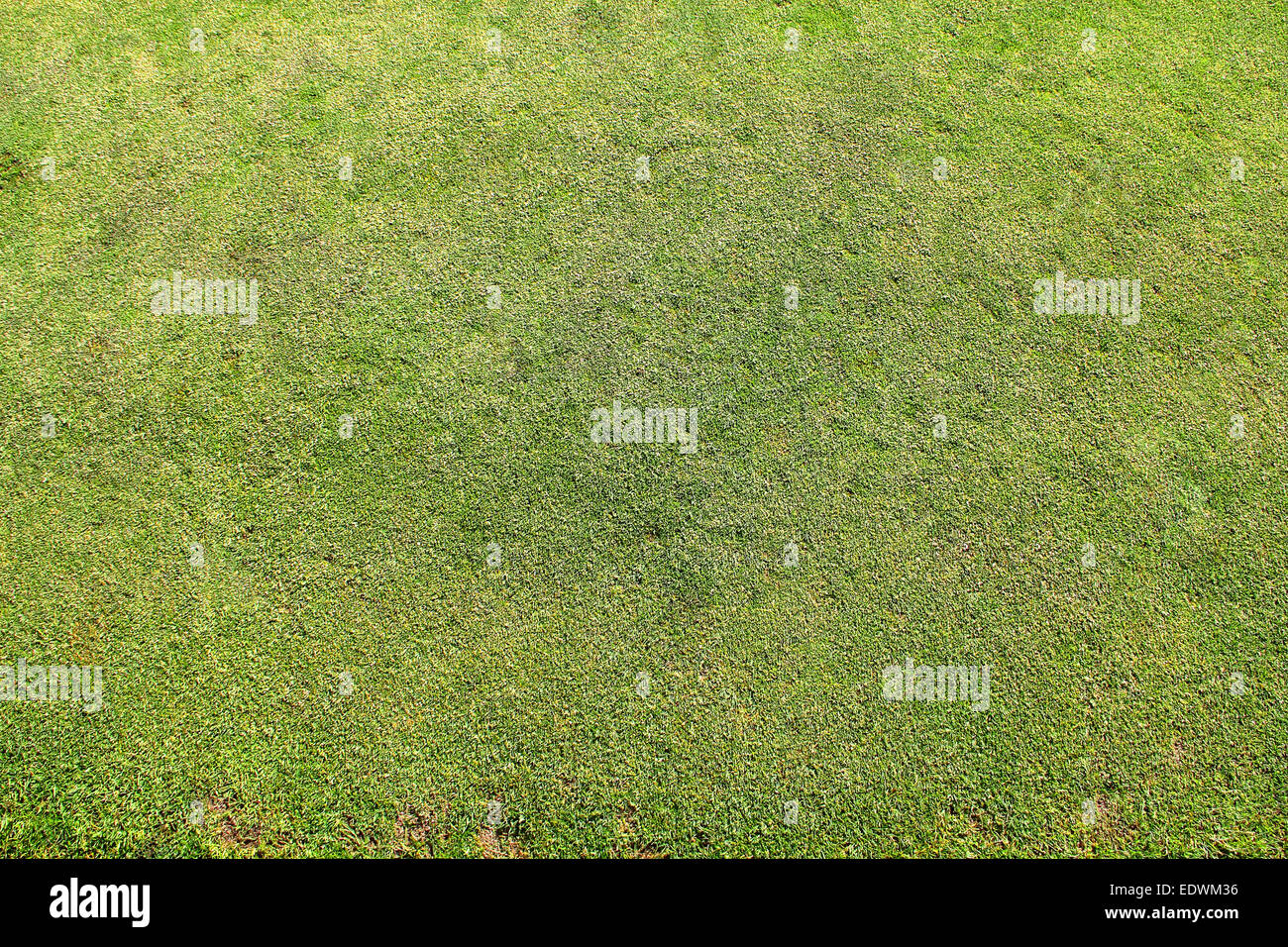 Course texture hi-res stock photography and images - Alamy