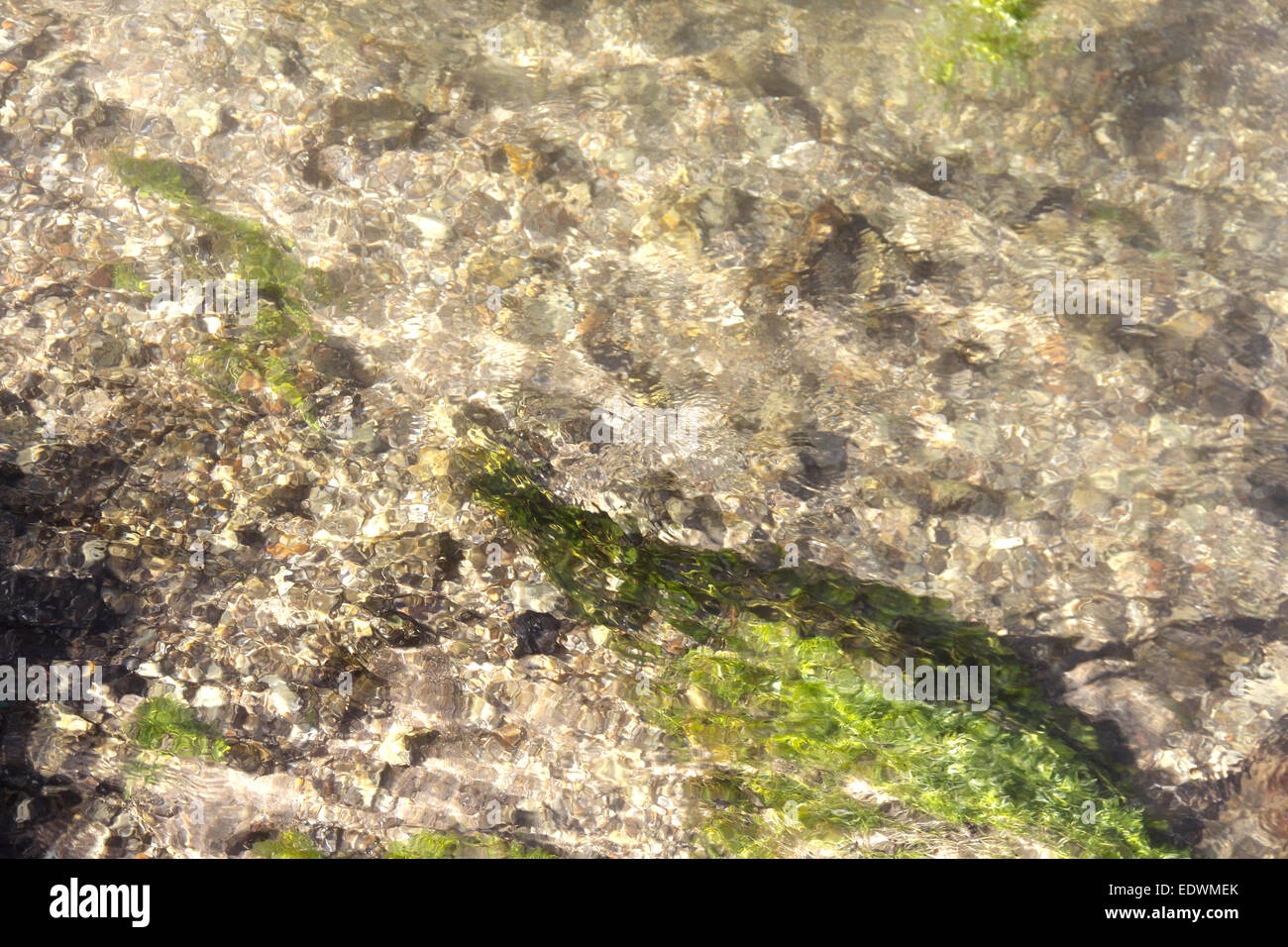Top view on transparent creek surface with stones and grass Stock Photo ...