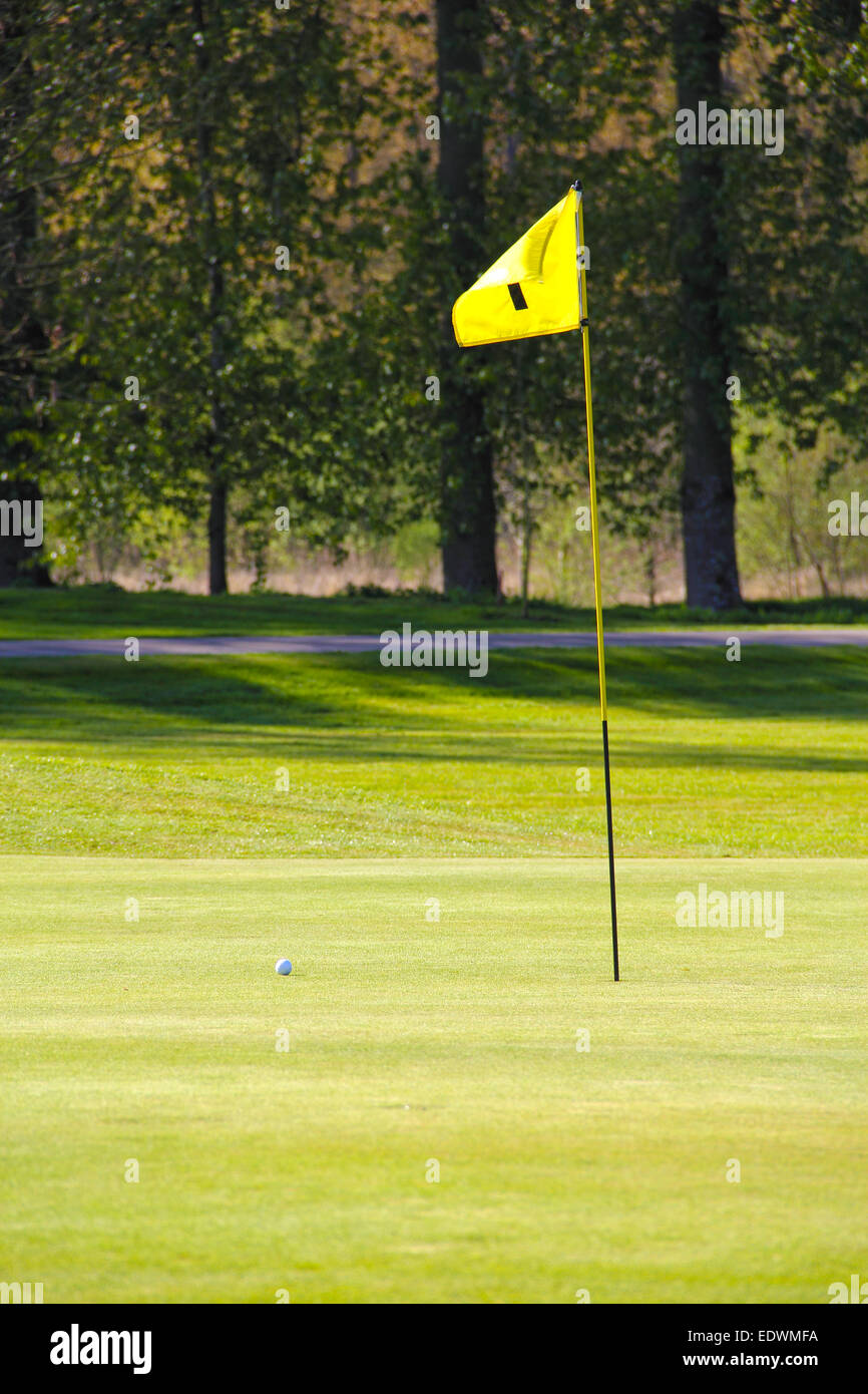 Flag on the golf field and forest on background Stock Photo - Alamy